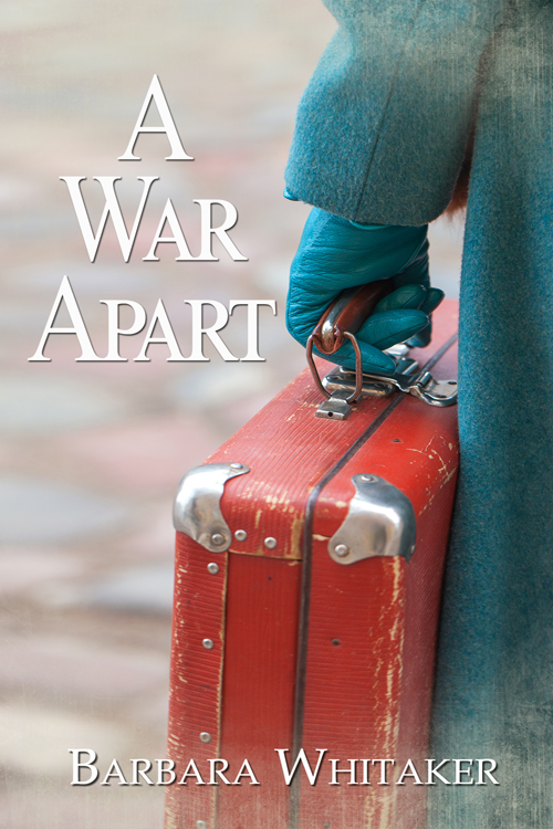 My Novels – Barbara Whitaker